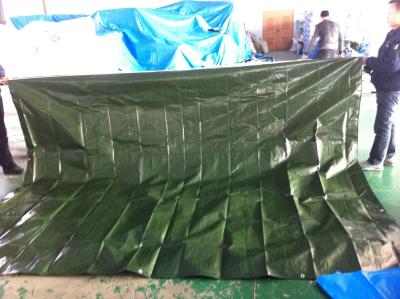 China lona del PE/lonas polivinílicas/del color verde tela tejida prenda impermeable en venta