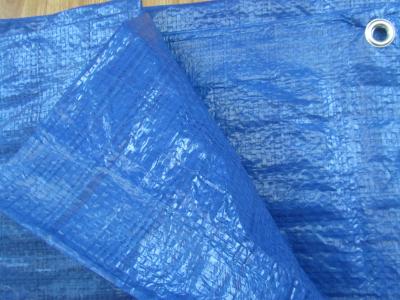 China 63GSM blauw kleurenpe geteerd zeildoek 1.8x3.4m Te koop