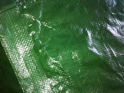 China 5mil green color PE tarpaulin poly  tarp for sale