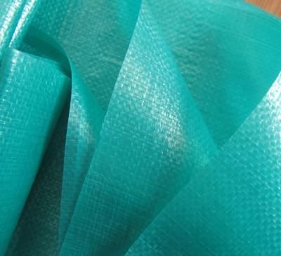 China lona a prueba de calor de la lamina del PE del shrinkproof en el precio bajo en venta