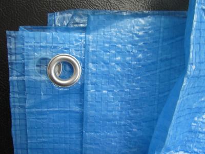 China 90gsm blue pe arpaulin,hdpe sheeting with grommets for sale