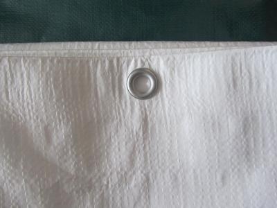 China 300gsm white color finished poly tarp 2 x 3m Te koop