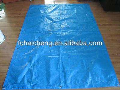 China pe tarpaulin with rope and eyelet,various of colors plastic sheets Te koop