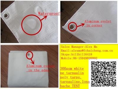 China 300gsm uv treatment white heavy duty pe tarpaulins en venta