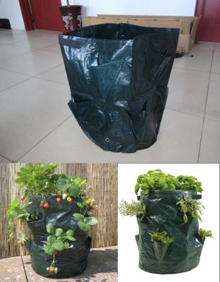 China Reusable Herb Potato Strawberry Planting Planter Bags en venta
