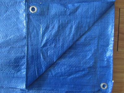 China 50gsm Saudi arabia tarpaulin ,50gsm pe tarpaulin en venta