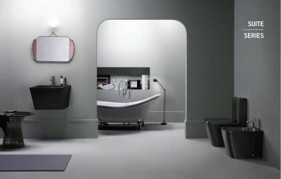 China Bathroom Single Suite Commode Sanitaryware Water Closet Toilet Bowl Custom for sale