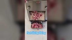 Slicing & Dicing Machine