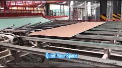 Acousic Ceiling Tile with T Grid
