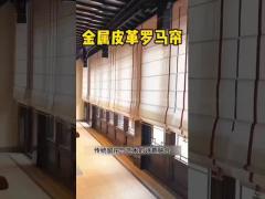 Factory Direct Smart Powered Zigbee APP Electric Automatic Indoor Battery Operated Motorized Zebra R