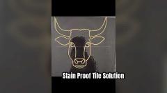 Customized High Durability High Stain Resistance Ceramic Tile and Porcelain Tile for Wall and Floor