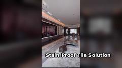 Modern 600x600mm Ceramic Tile with High Stain Resistance and Less than 0.5% Water Absorption