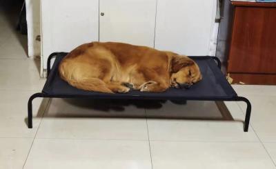 China XL huisdierbed voor honden en katten Aanpasbare kleur ijzeren frame Koelfuncties en wolmateriaal Te koop