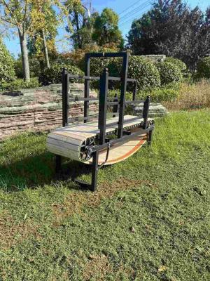 China Small Animals Iron Treadmill with Water Resistance and Adjustable Incline for sale