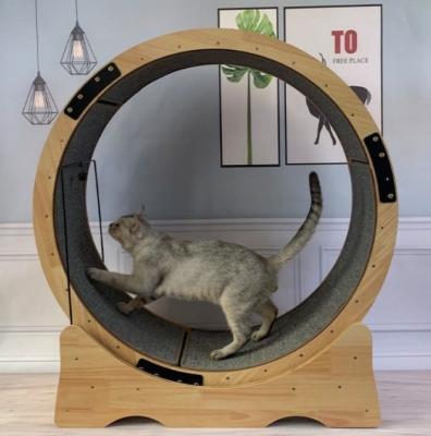 Cina Treadmill in legno per gatti interni per esercizio fisico e gioco Spedizione da Shanghai o Nanjing in vendita