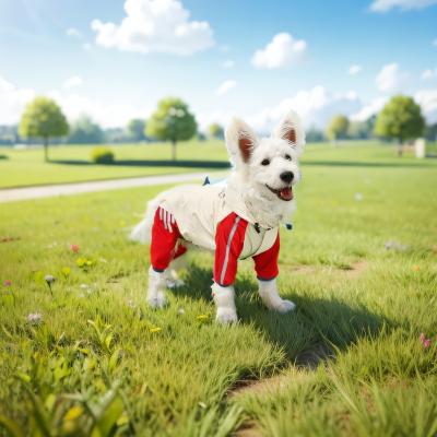 Cina Abbigliamento per animali domestici Mantello impermeabile Modello animale Dimensione ridotta per cani Estate/Primavera in vendita