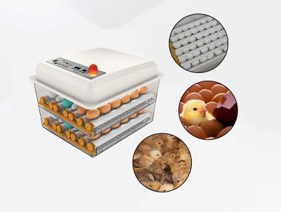 Cina Incubatore domestico per l'incubatura di polli, anatre, oche e uova di piccione in vendita