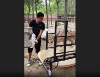 China Customized Dog Treadmill for Large Dogs Loading Quantities 40 HQ Loading over 23 Tons for sale