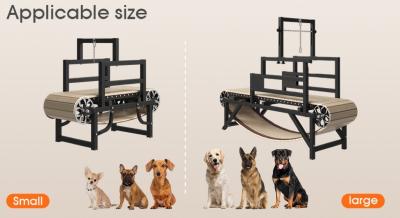 Cina Spedizione da Shanghai o Nanjing Treadmill per cani con finitura di mulino ed elettroforesi in vendita