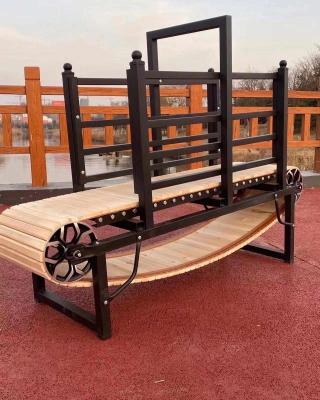 Cina Leggio 6063/6061/6005/6082/6060 tapis roulant per cani per esercizi all'aperto e fitness degli animali domestici in vendita