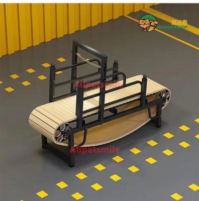 China Get Your Big Dogs in Shape with Motorized Dog Treadmill Training REPTILES Approved for sale