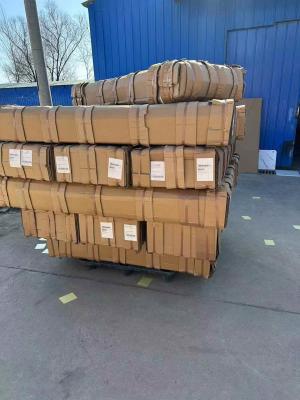 China Get Your Big Dogs in Shape with Motorized Dog Treadmill Training REPTILES Approved for sale