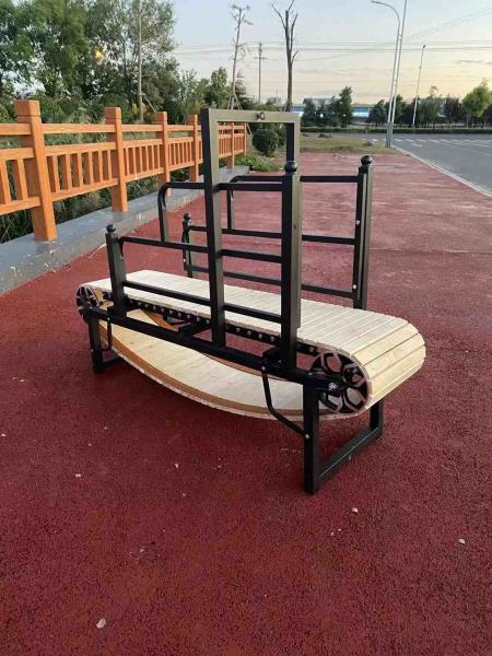Quality Sandblasted Powder Coated Dog Running Machine for Indoor Exercise Electrophoresi for sale