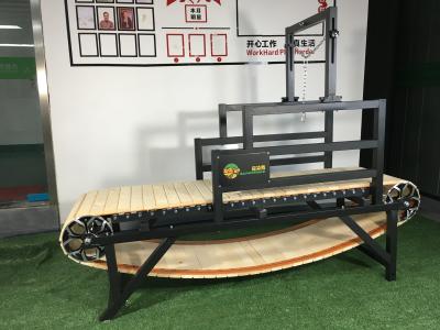 Cina Alipetsmile 2nd Gen Dog Treadmill La soluzione perfetta per le esigenze di esercizio dei cani di grandi dimensioni in vendita