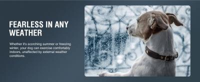 China Quantidades de carregamento 20 GP 70 conjuntos de esteira para cães animais de estimação esteira para Pit Bull à venda