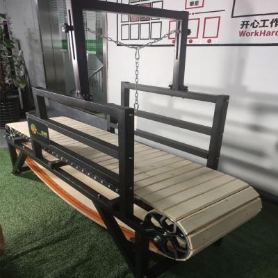 China Acceptabele OEM ODM hondenloopband voor pitbulls Alipetsmile Andere producten voor huisdieren Te koop