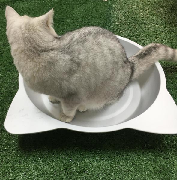Quality Smart Round Cat Nest for Resting and Sleeping 38x38x7.5cm Aluminium Material for sale