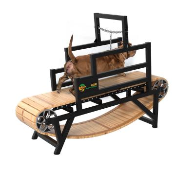 China Stocked Alipetsmile honden loopband voor Pit Bull Running Te koop