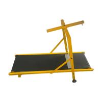 Quality Folding Treadmill for Dogs Steel Agility Equipment in Different Colors and Sizes for sale