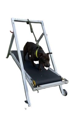 中国 犬のトレッドミール 健康とフィットネス アルミ 積載量 40 HQ 積載 168 セット 販売のため
