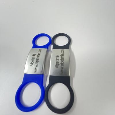China 40 HQ Loading 168 Sets Customizable Silicone Pet Hanging Tag with Stainless Steel Logo for sale