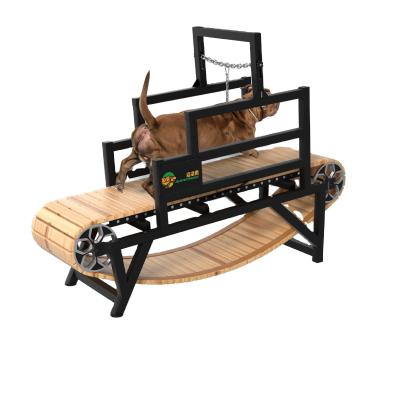 China Alipetsmile Smooth Dog Treadmill uit Shanghai of Nanjing Port voor actieve honden Te koop