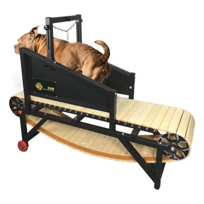 China Caminadora de corteza de aluminio para perros para perros grandes/medianos Equipo de ejercicio sostenible en venta