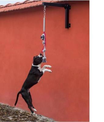 China Sturdy 70cm*30cm Heavy Duty Spring Pole Set for Dogs up to 105lbs/210lbs 4.85Kg for sale