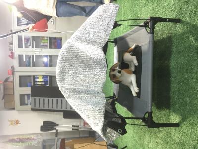 China Indoor Outdoor Dog Bed with Cooling Elevated Air Cot and Removable Canopy Shade Tent for sale
