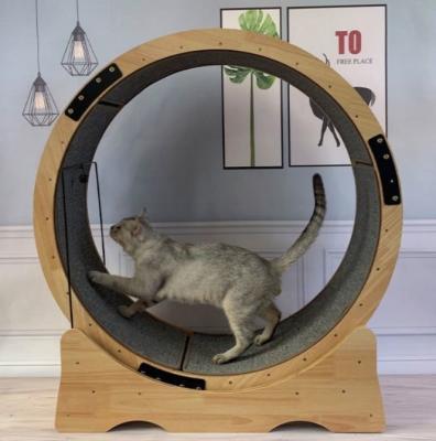 China Fun Treadmill Toy for Cats Interactive Anti-depression Fiber Board Pet Exercise Wheel for sale