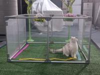 China Custom Pattern Dog Fence Portable Foldable Pet Playpen with Removable Acrylic Panels for sale