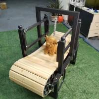 China Customized Size Pet Training Treadmill for Small Dogs Sustainable Behavior Products for sale