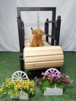 China Customized Size Pet Training Treadmill for Small Dogs Sustainable Behavior Products for sale
