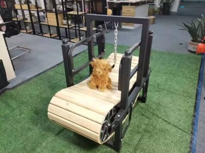 中国 小型犬のためのペットトレーニングトレッドミール 販売のため