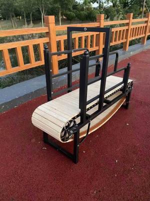 Cina Treadmill professionale per l'addestramento degli animali domestici con certificato ISO9001 e dimensione 175cm*52cm*130cm in vendita