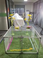 China Large Space 8/10/12 Panels Dog Playpen with Button Closure and Solid Animal Pattern for sale