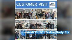 Audi DL501 Valve Body Repair Kit