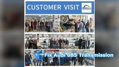 Audi 0B5 DL501 Valve Body Kit Solenoids Harness
