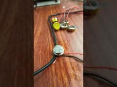 Le miroir 2mhz en céramique piézoélectrique isolé du disque 28mm de tête en acier a poli