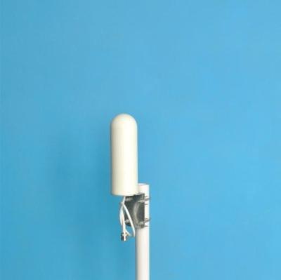 Chine AMEISON manufacturer Outdoor Omnidirectional Antenna 4dbi N female 806-2700mhz  for GSM/CDMA/PCS/3G/WLAN/LTE system à vendre